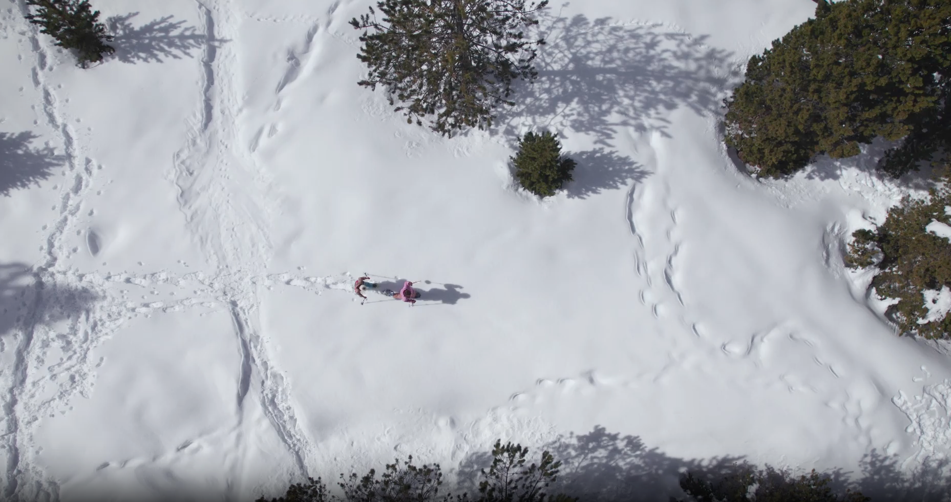 Hotel Encamp | Nexta | Andorra | Web Oficial