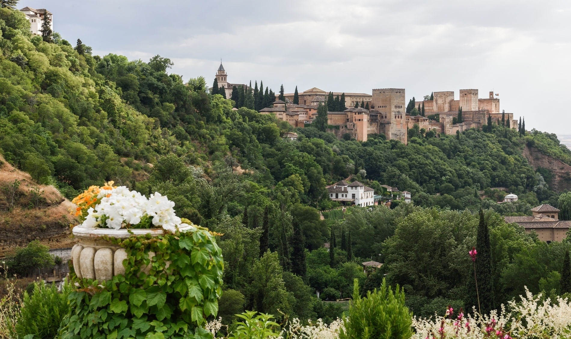 Hotel Ana María | Granada | Web Oficial