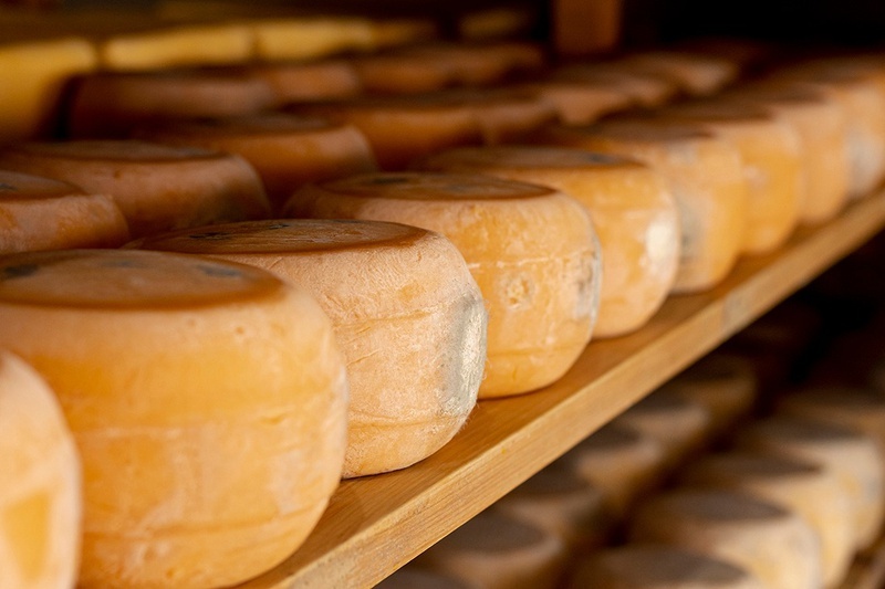 Valle del Roncal | SNÖ Isaba | Official Web